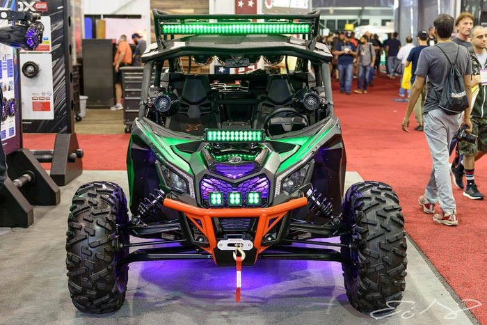 DB Drive México Tienda Oficial Compra Online